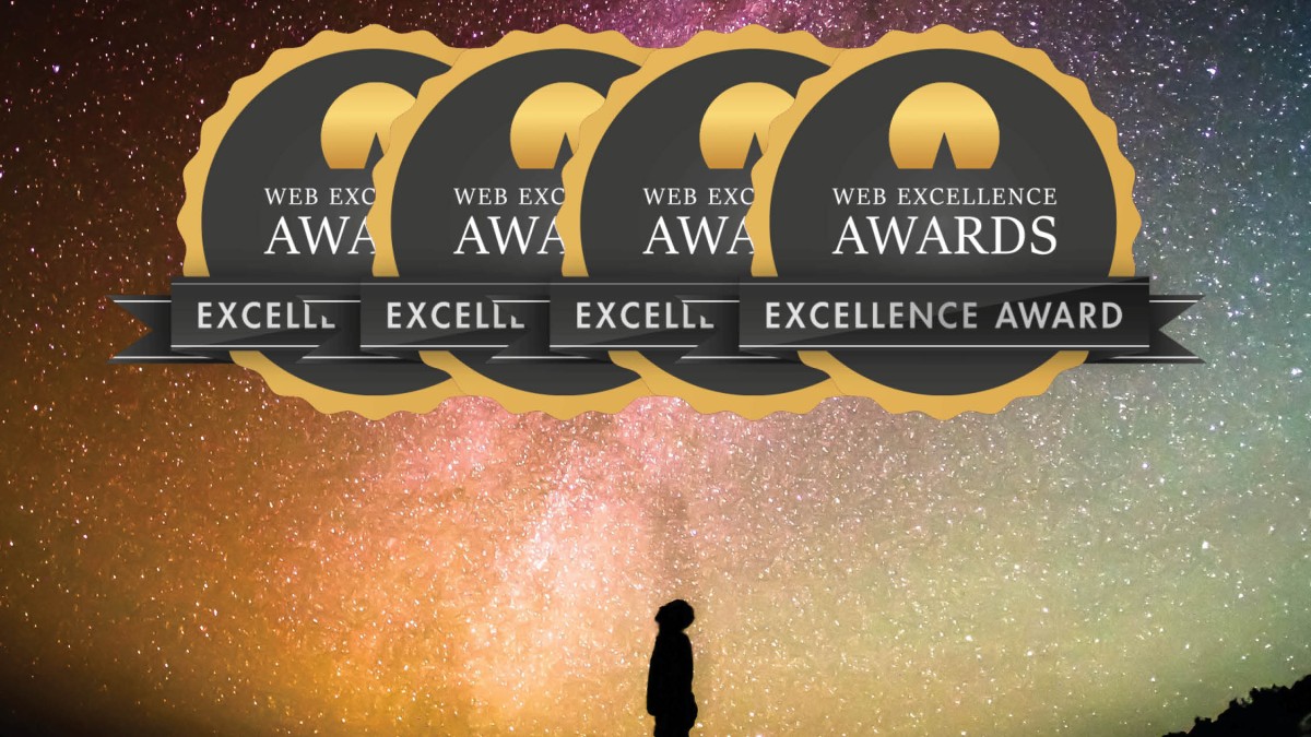 Double recognition two years running for Icon Agency at the Web Excellence Awards - ICON